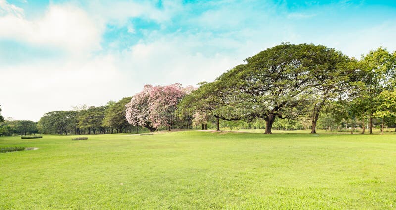 Beautiful Green Public Park in City with Green Grass Field Stock Image ...