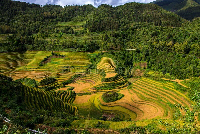 Beautiful Green Rice Terrace Landscape Stock Image - Image of green ...