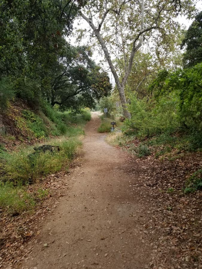 A green trail stock photo. Image of trail, california - 130150980