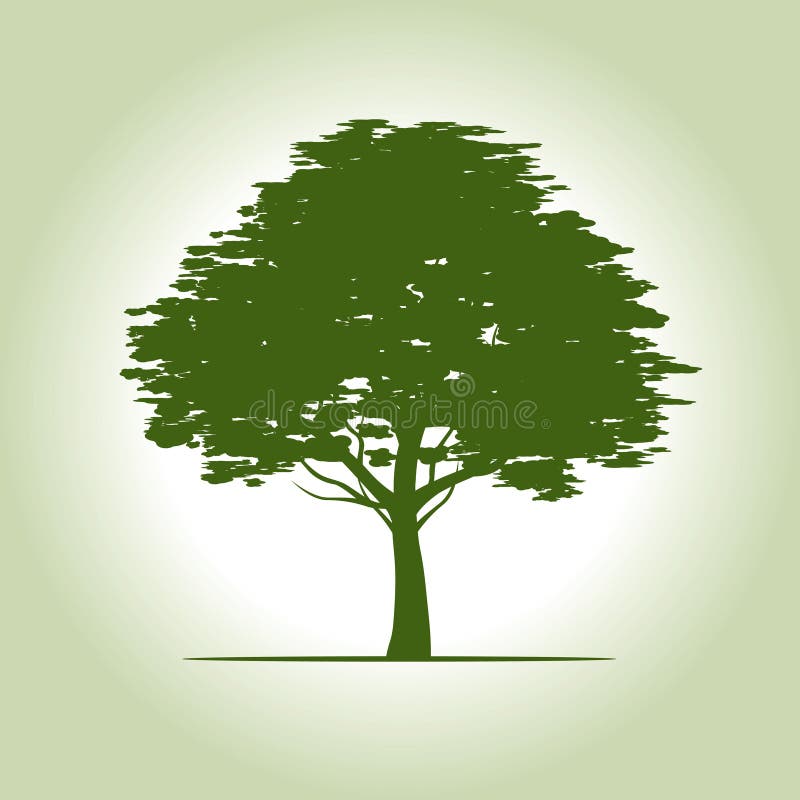 Beautiful Green Tree with Leaves. Vector Illustration. Stock Vector ...