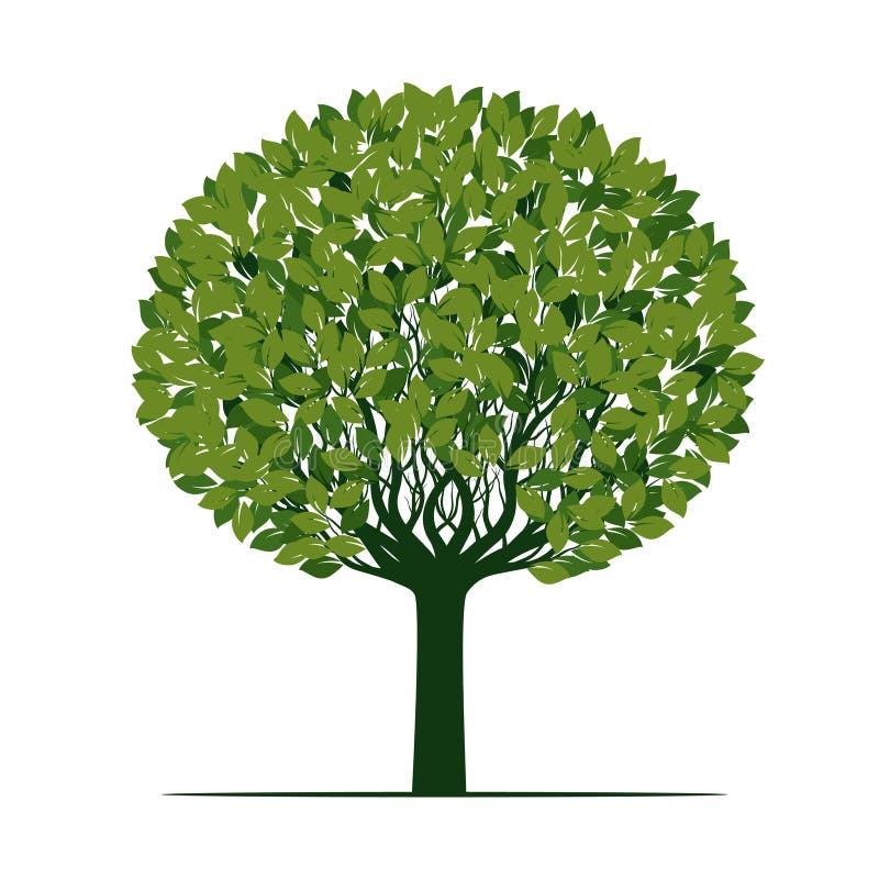 Beautiful Green Tree with Leaves. Vector Illustration. Stock Vector ...
