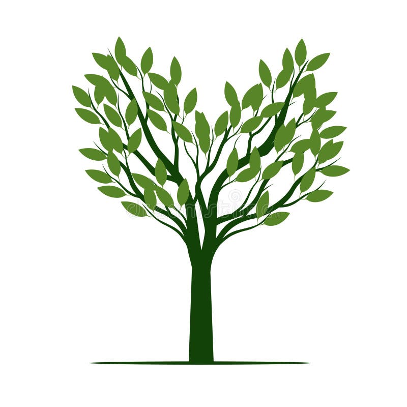 Beautiful Green Tree with Leaves. Vector Illustration. Stock Vector ...