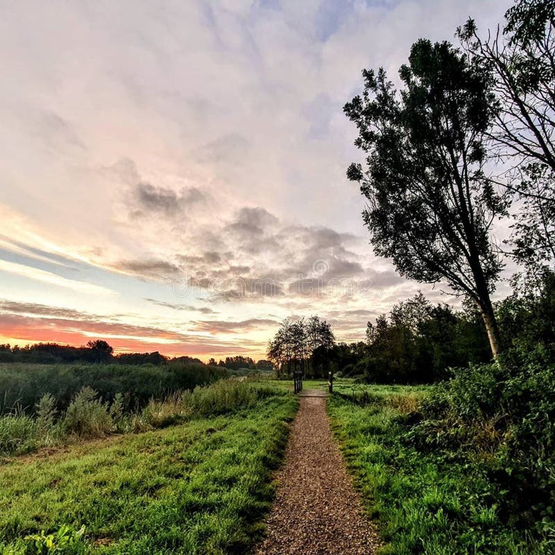 Beautiful Green Tree and Sky View Stock Image - Image of plain, meadow ...