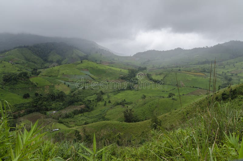 Beautiful green valley stock photo. Image of landscape - 60946032