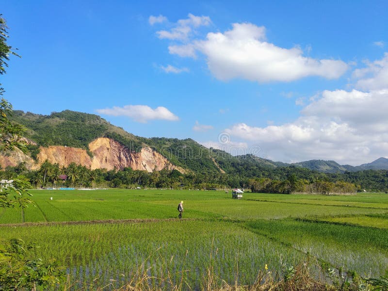 A Beautiful Green View in Aceh Stock Photo - Image of plateau, meadow ...