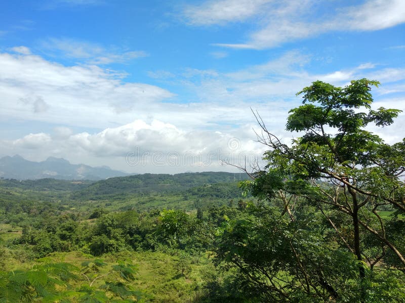 A Beautiful Green View in the Window Frame Stock Image - Image of frame ...