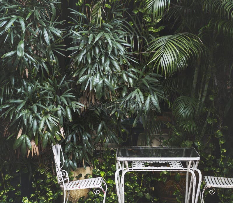 A Beautiful Greenery in a Rural India Stock Photo - Image of rocks ...