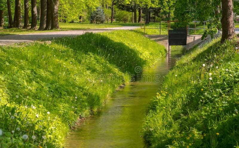 Drainage Canal among Spring Urban Greenery. Stock Image - Image of ...