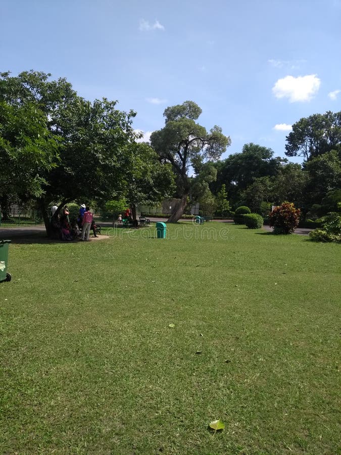 Beautiful Greenery Inside Alipur Zoo Editorial Photography - Image of ...