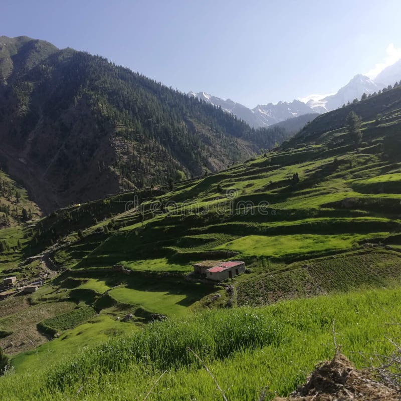 Beautiful greenery scenes stock image. Image of alps - 190187853