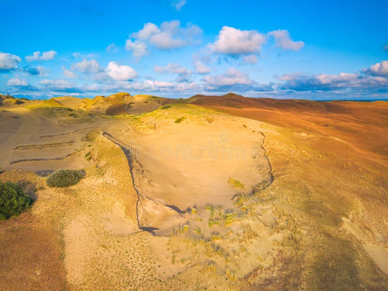 Beautiful Grey Dunes, Dead Dunes at the Curonian Spit in Nida, Neringa ...