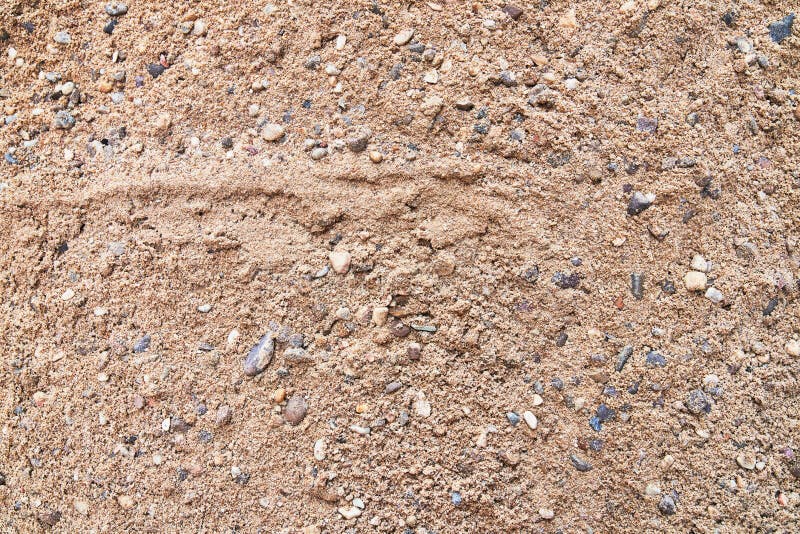 Beautiful Ground Texture Image Stock Image - Image of dust, rough ...