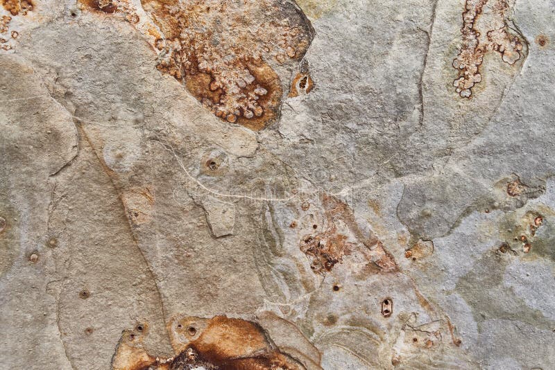 Beautiful Grunge Stone Texture Wall Stock Photo - Image of texture ...