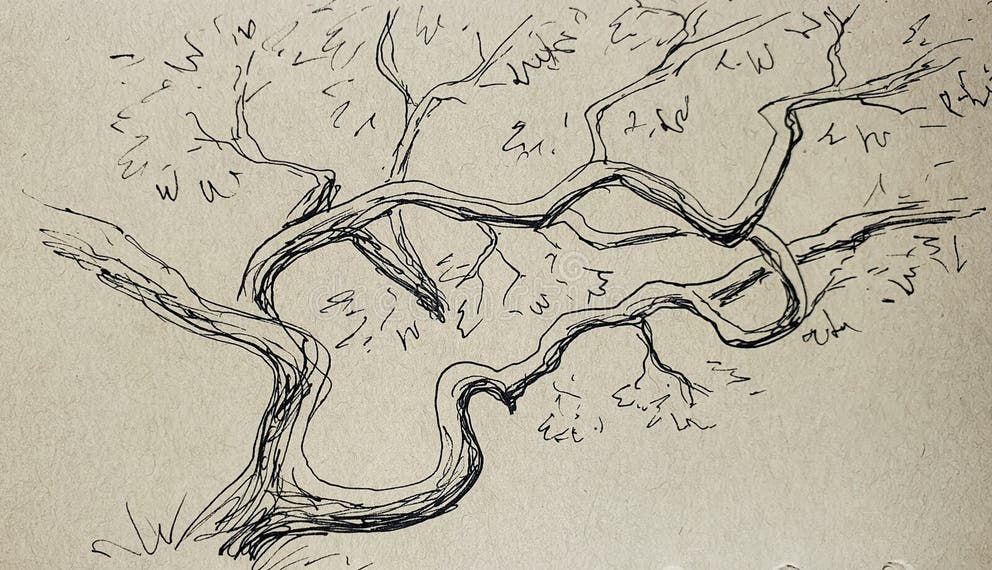 Ink drawing of a tree stock illustration. Illustration of sketch ...