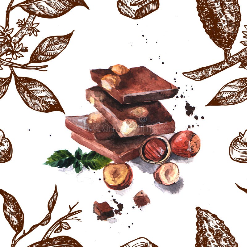 Beautiful Hand Drawn Watercolor Illustration Nut Chocolate Stock ...