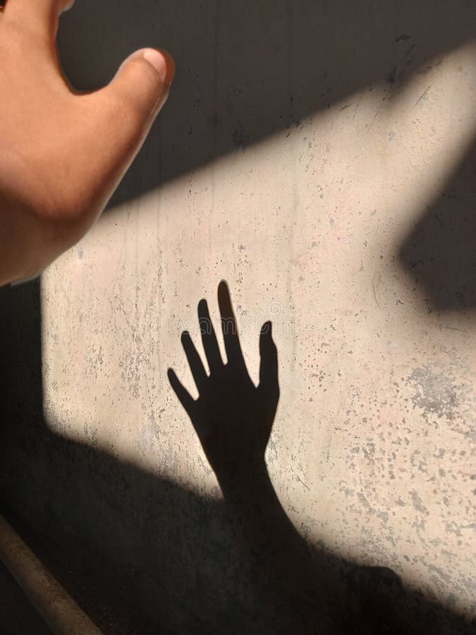 Beautiful Hand Shadow on the Illuminated Wall Stock Image - Image of ...