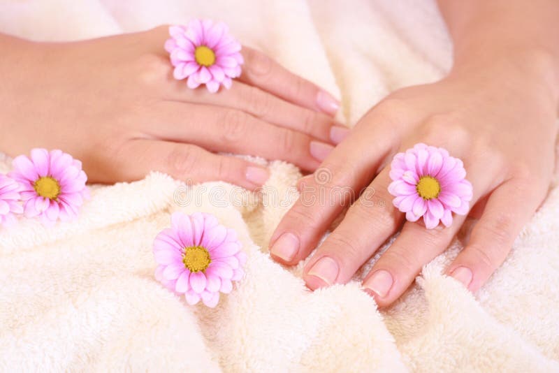 Beautiful hands stock image. Image of flowers, toenail - 1898219