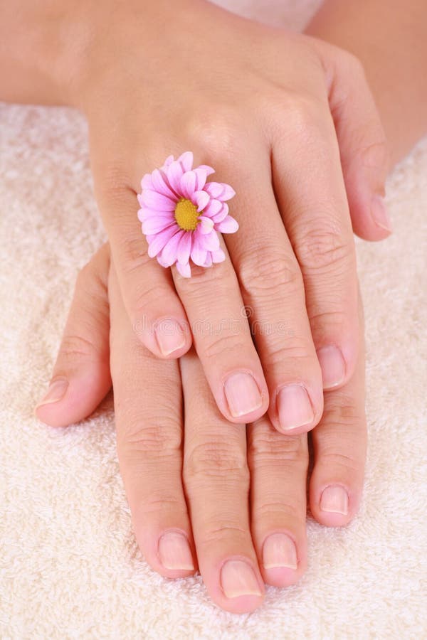 Beautiful hands stock photo. Image of hand, clean, glamor - 1966544