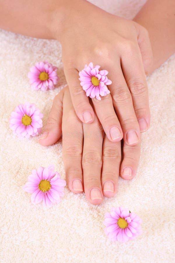 Beautiful hands stock photo. Image of treatment, french - 1966548