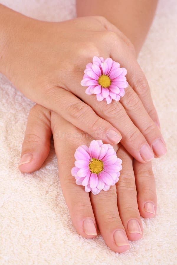 Beautiful hands stock image. Image of polish, girl, glamour - 1968197