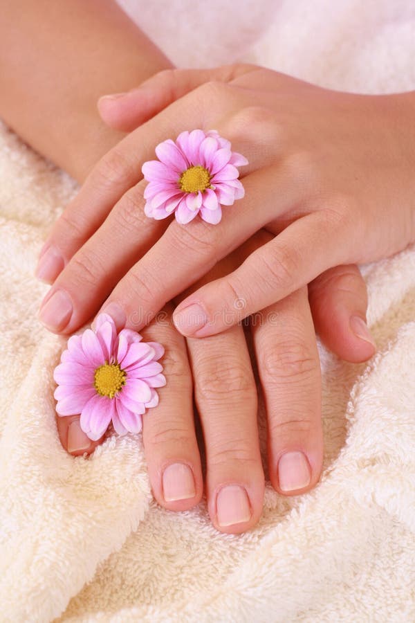 Beautiful hands stock photo. Image of daisy, clean, toiletries - 1968238