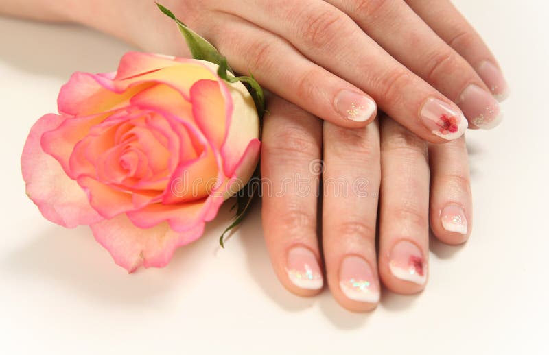 Beautiful hands stock photo. Image of beauty, pink, manicure - 24204184