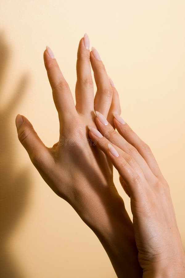 Beautiful hands stock photo. Image of woman, beauty, finger - 3548374