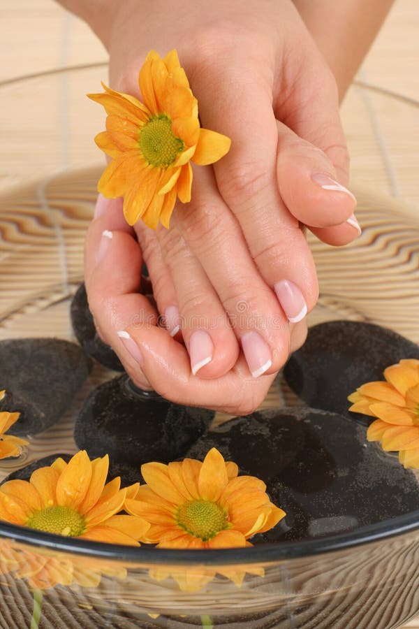 Beautiful hands stock image. Image of hands, french, care - 4210713