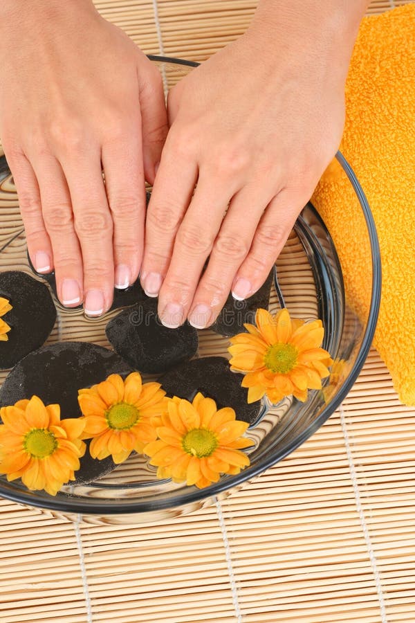 Beautiful hands stock photo. Image of aromatherapy, daisy - 4210784