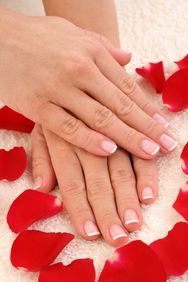 Beautiful hands stock image. Image of towel, nails, smell - 4221369