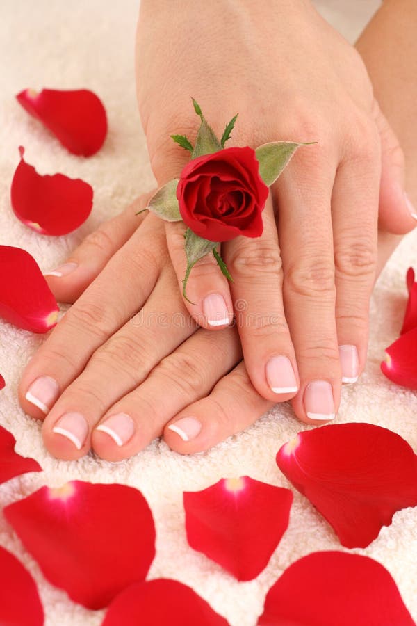 Beautiful hands stock photo. Image of relaxation, fresh - 4221380