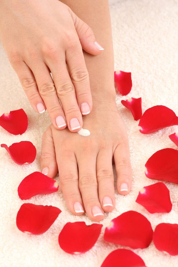 Beautiful hands stock image. Image of aroma, freshness - 4221451