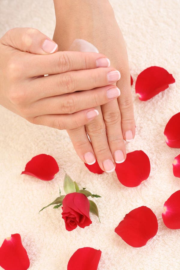 Beautiful hands stock photo. Image of manicure, clean - 4221514