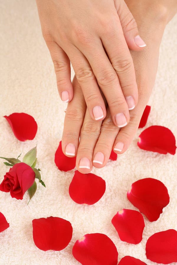 Beautiful hands stock photo. Image of towel, pleasure - 4221536