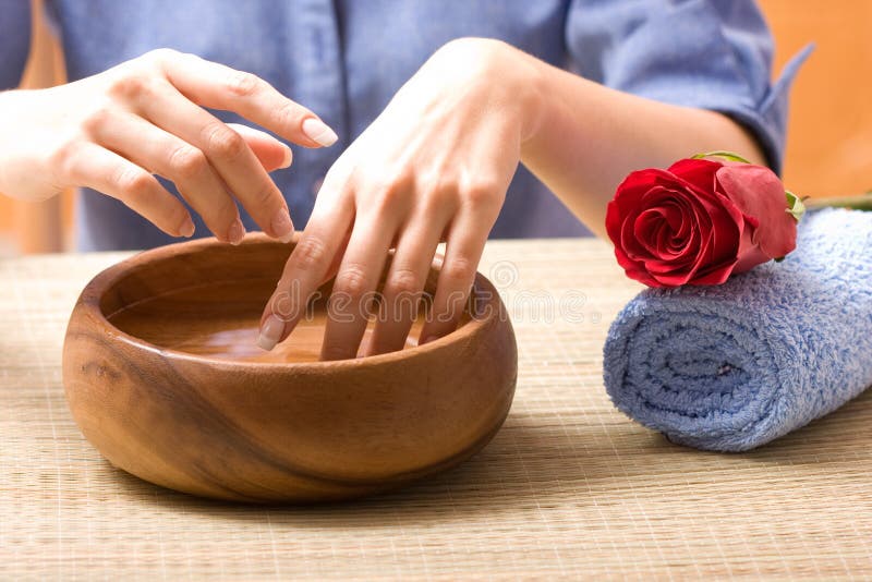 Beautiful hands stock photo. Image of caucasian, rose - 5728156