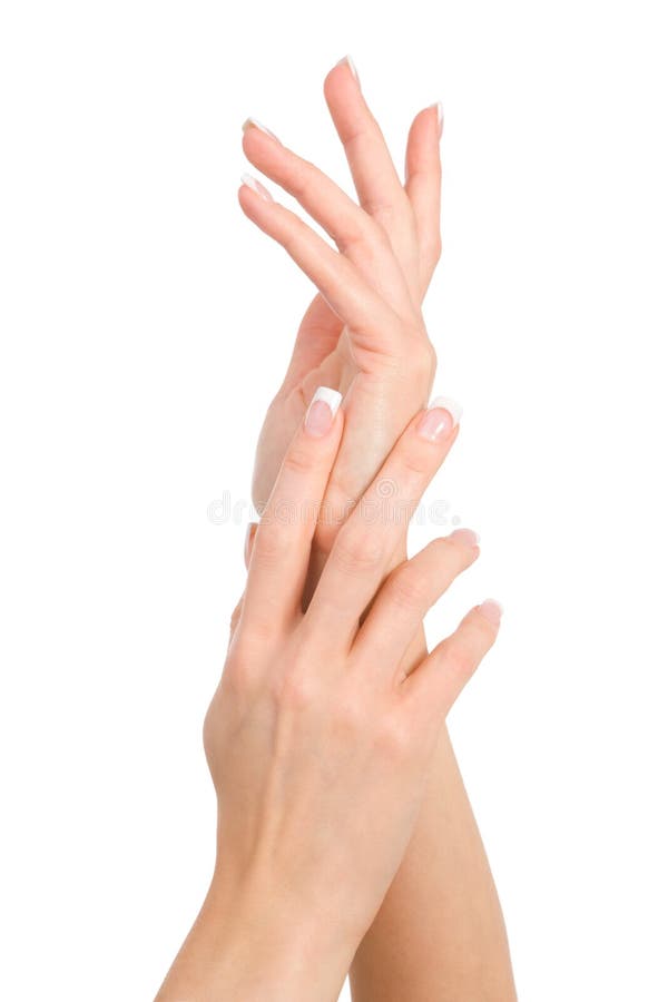 One Elegant Female Hand with Beauty Fingers Stock Image - Image of ...
