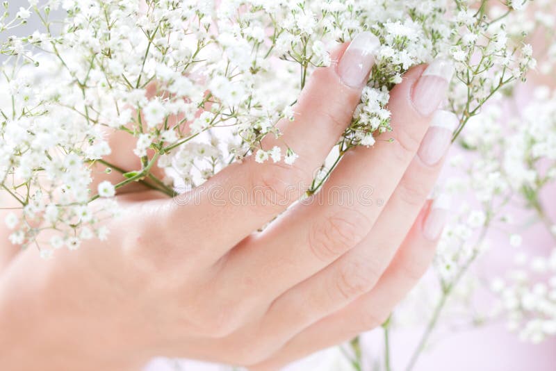 Beautiful hands stock image. Image of treatment, fingernail - 8097227