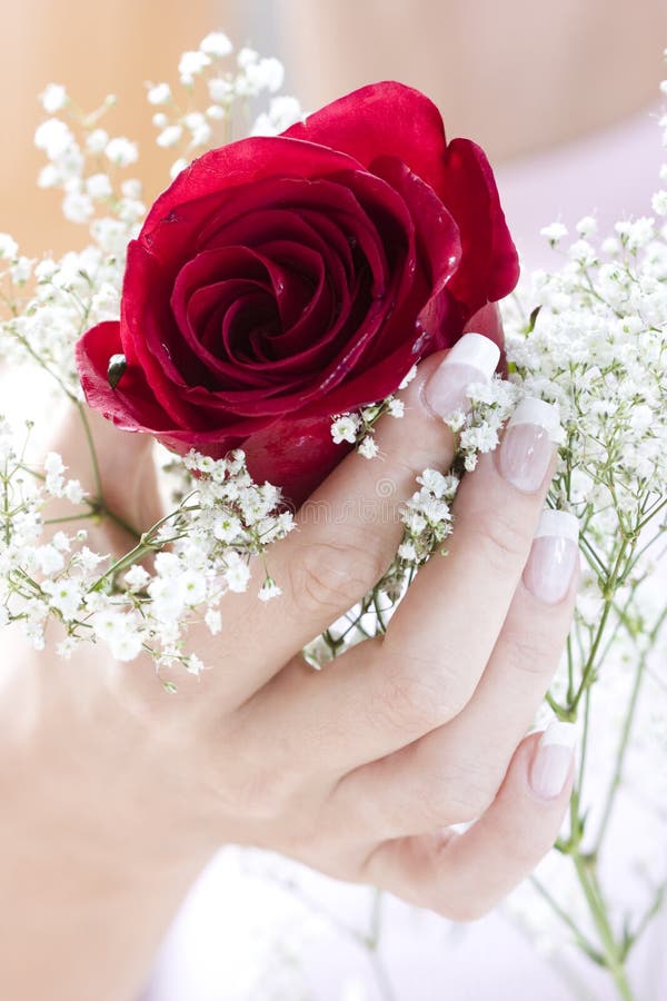 Beautiful hands stock image. Image of clean, wellbeing - 8097249