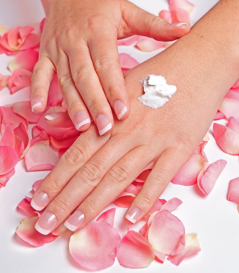 Beautiful Hands Holding Rose Stock Photo - Image of finger, female ...
