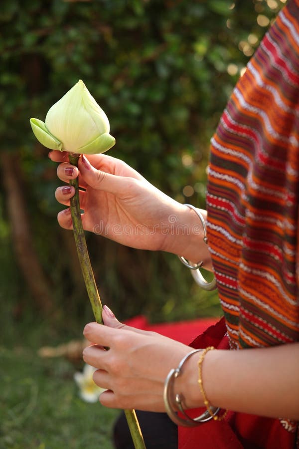 Beautiful Hands Holding Lotus Stock Image - Image of beautiful, finger ...