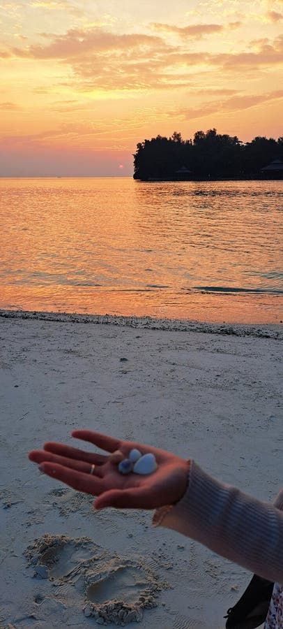 Beautiful Hands Holding Shells, with the Beautiful Beach in the ...