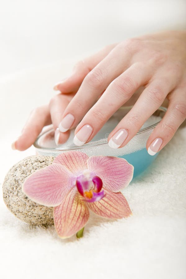 Beautiful Hands with Perfect French Manicure Stock Photo - Image of ...