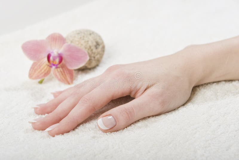Beautiful Hands with Perfect French Manicure Stock Photo - Image of ...