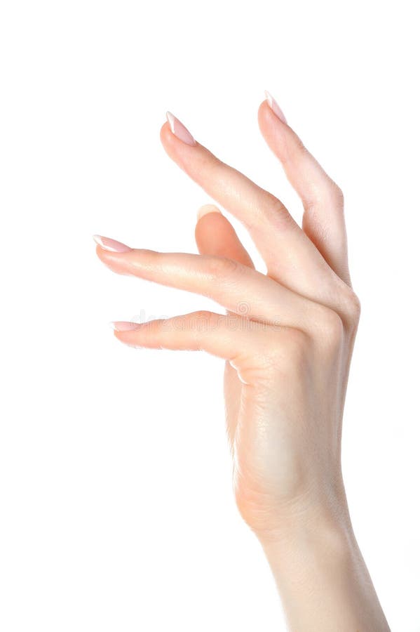 Two elegant woman hands stock photo. Image of beautiful - 4496194