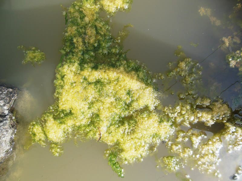 Hanging Water Maze stock photo. Image of water, beautiful - 120089336