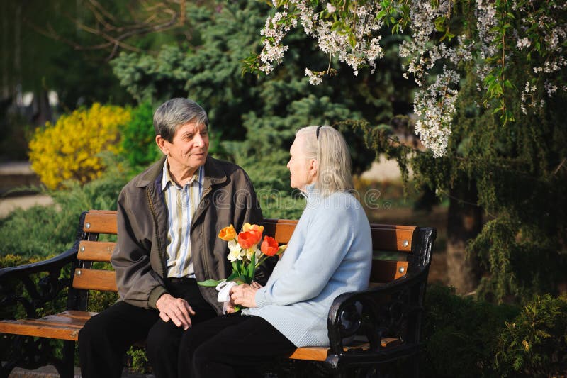 Beautiful Happy Old People Sitting in the Autumn Park. Stock Image ...