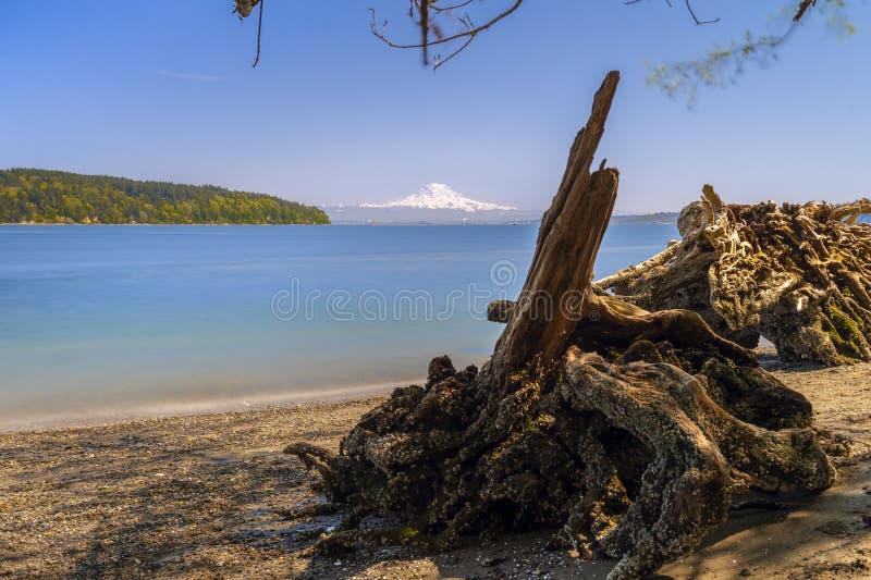 Beautiful Harbor and Beach Scenery of Gig Harbor Town in Summer. Stock ...