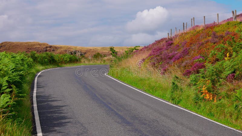 Beautiful Heather Fields in the Peak District Stock Footage - Video of ...
