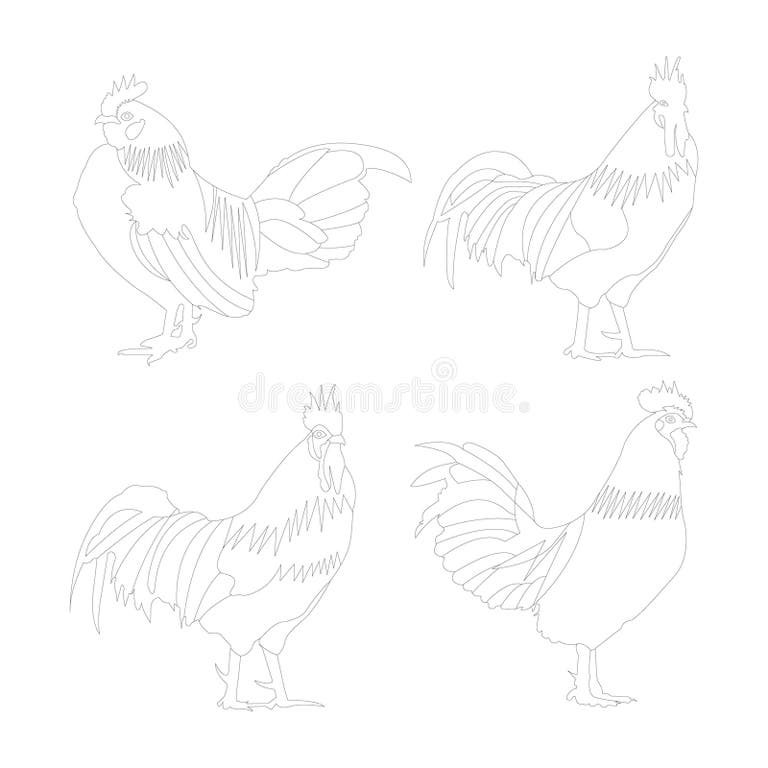 Beautiful Hen Line Art Vector Design. Stock Vector - Illustration of ...