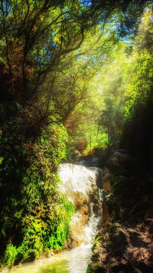 A Beautiful Hidden Waterfall at the Foot of the Mountain Stock Photo ...